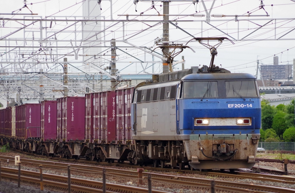 特別展示室 | 特別展示3号室 回游するクジラたち｜清須クジラが運営する鉄道写真ギャラリーサイト「遙かなる汽笛」